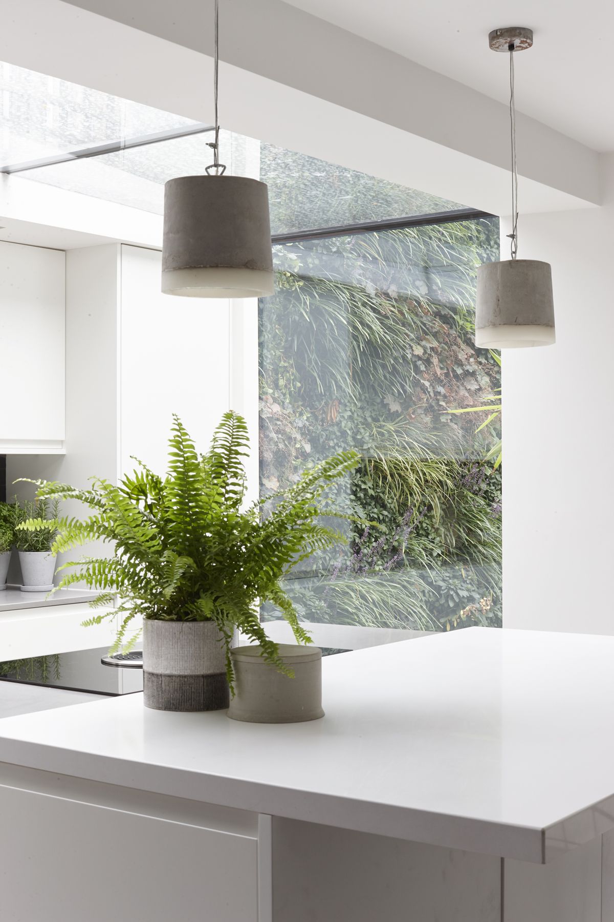 Living Walls: How to Install a Vertical Garden | Homebuilding