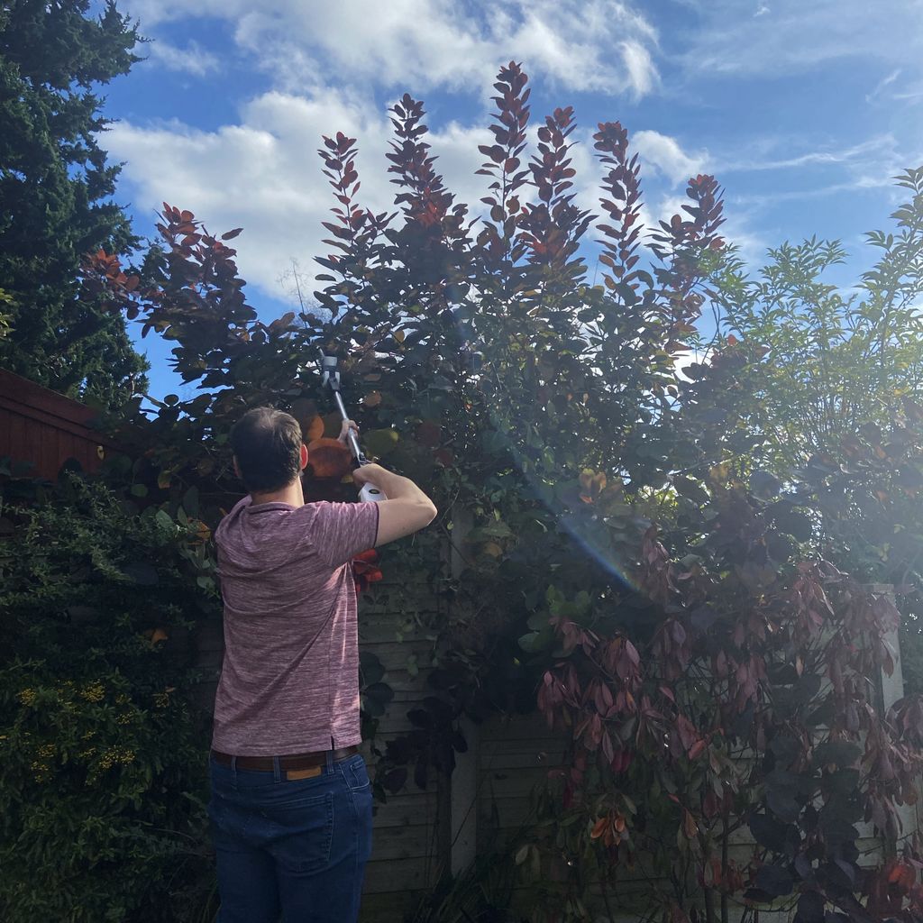 Gtech HT50 cordless hedge trimmer review | Gardeningetc