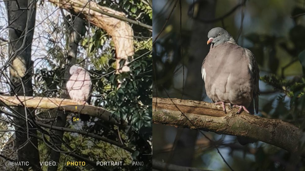 Optical zoom vs digital zoom: What's the difference? | Digital Camera World