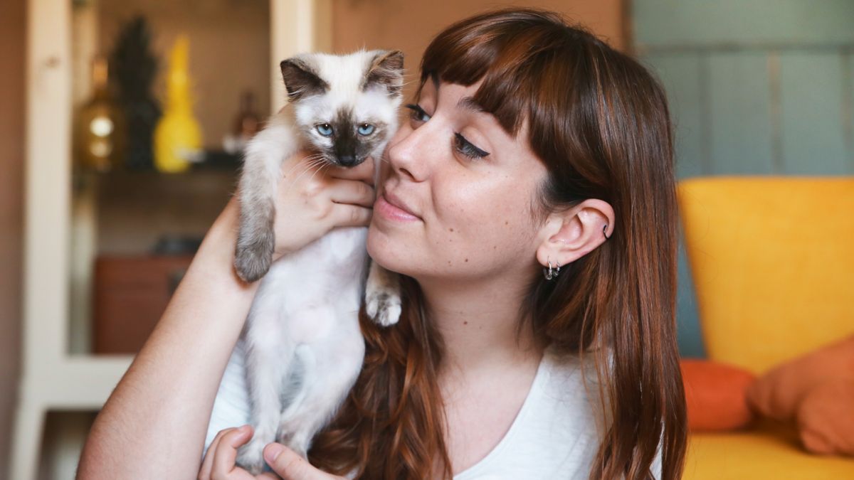 32 ways to raise a happy and healthy kitten | PetsRadar