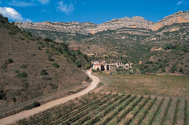 Priorat profile: Learn about the Priorat region | Decanter