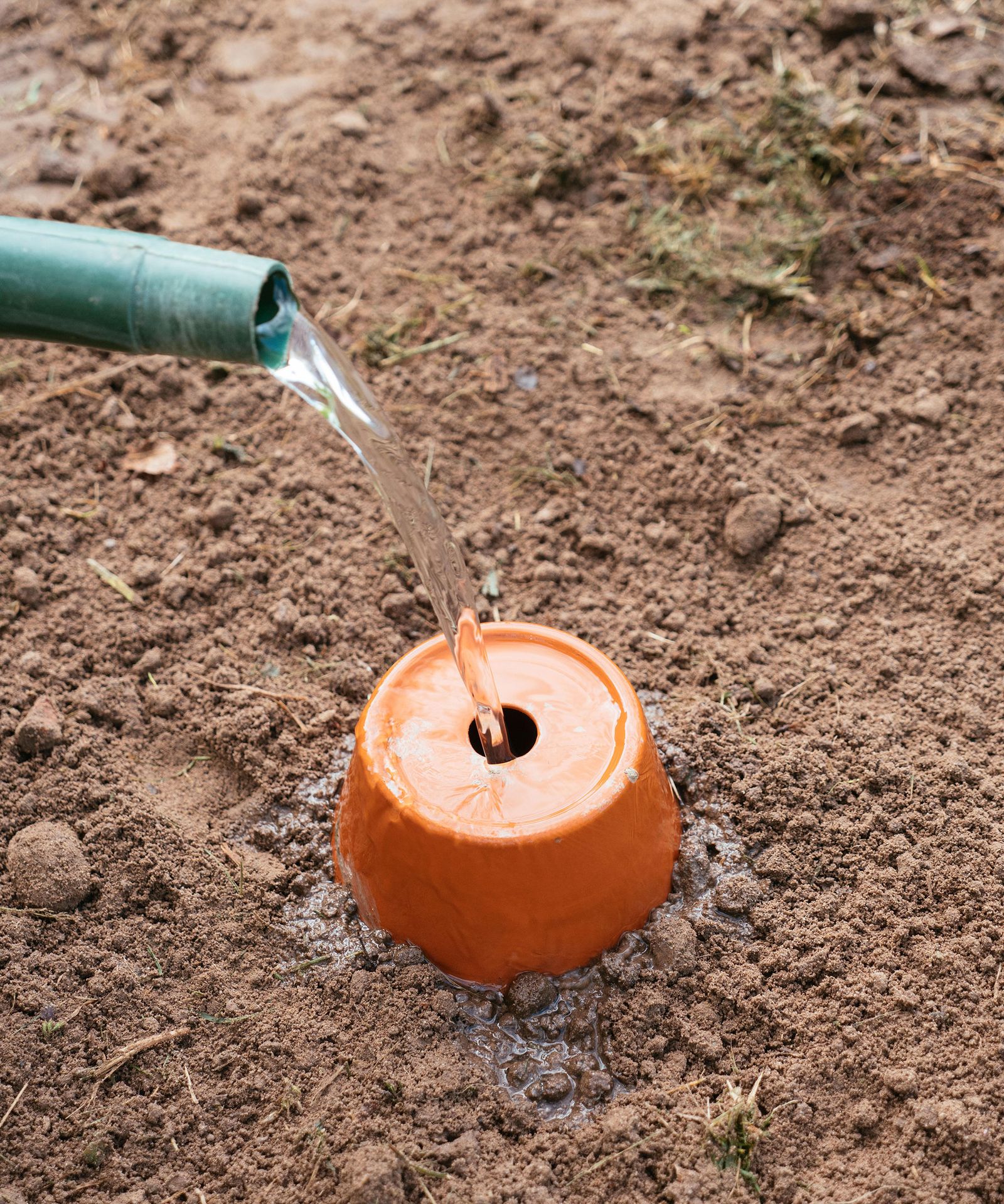 What is a garden olla and how can it water your plants? | Homes and Gardens