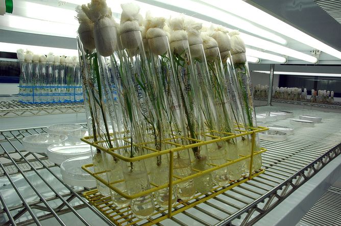 To Change Anti-Science Activists' Minds, Go Beyond Science (Op-Ed ...