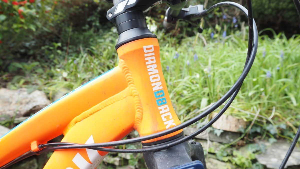 Best budget mountain bikes 2024 | Bike Perfect