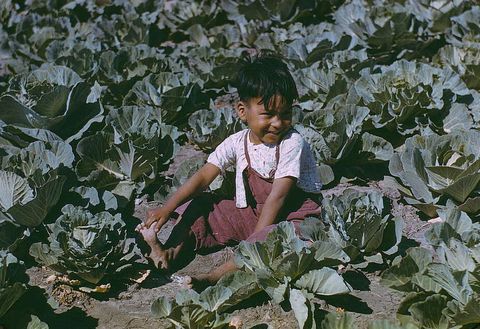 Gallery: Rare Color Photos of Great Depression | Live Science