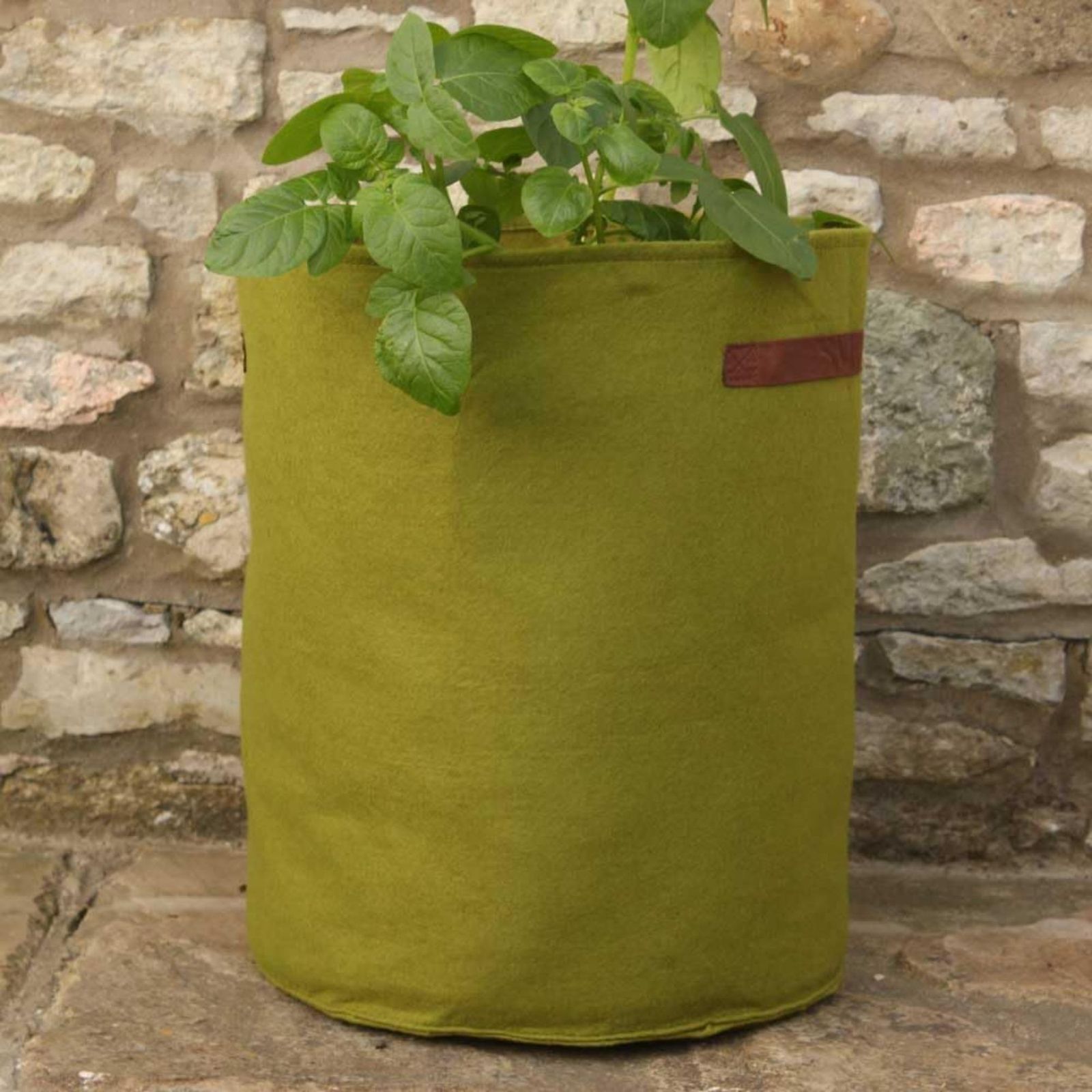 Growing potatoes in grow bags: an easy expert guide | Ideal Home