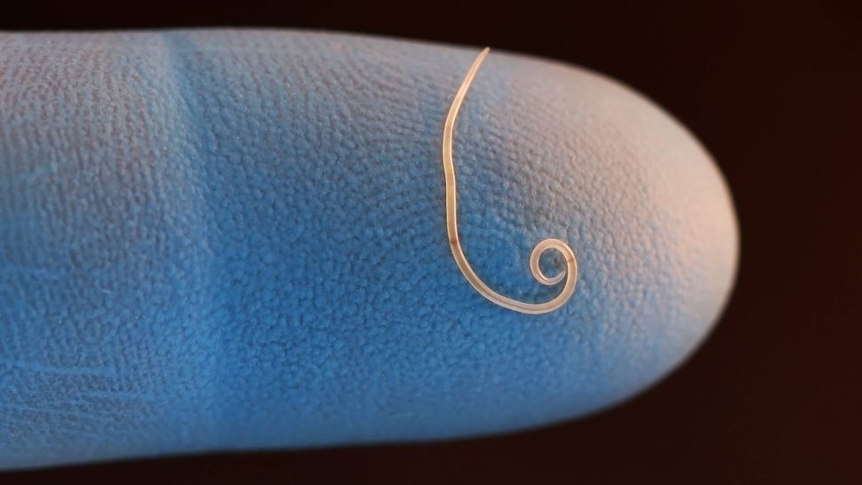 Live Science | Latest science news and articles for those with curious ...