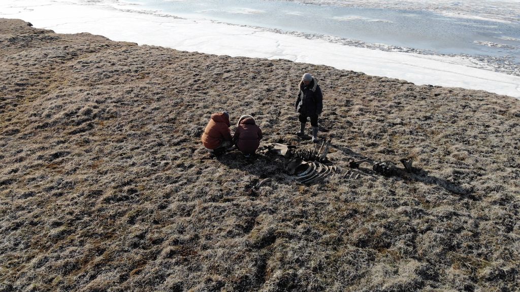 Russian expedition finds evidence of northernmost Stone Age hunters ...