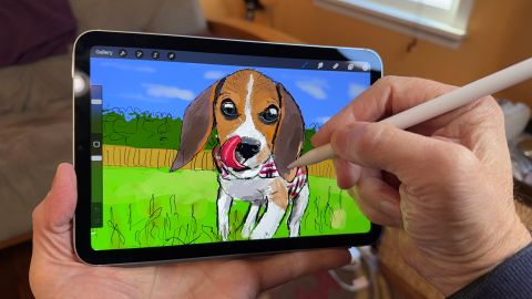 Apple iPad mini 8.3-inch (2024) review: a premium mini tablet ...