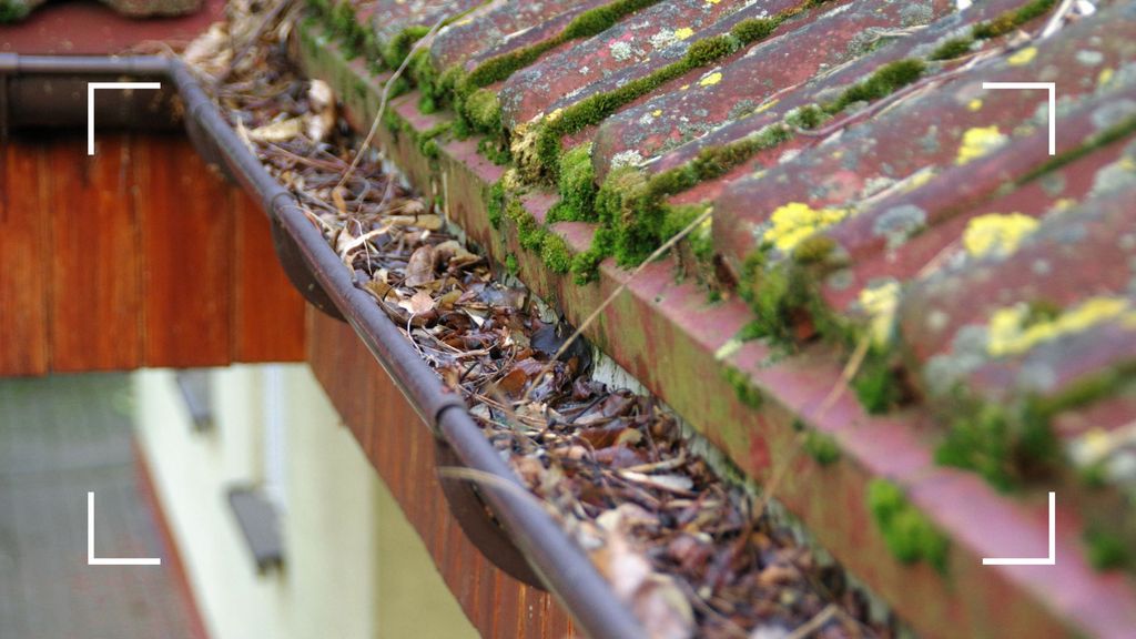 How to clean gutters: an easy expert guide from professionals | Woman ...