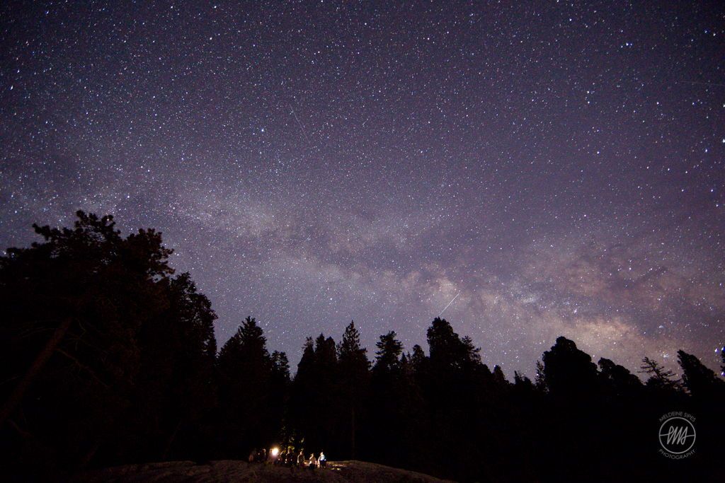 Starry Sky Over Sequoia National Park: Stargazer's Serene Scene (Photos ...