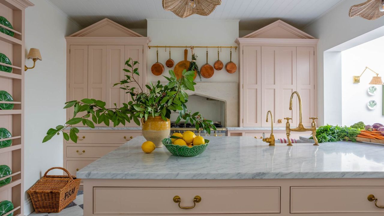 Setting Plaster vs. Dead Salmon – what's the difference? | Homes and ...