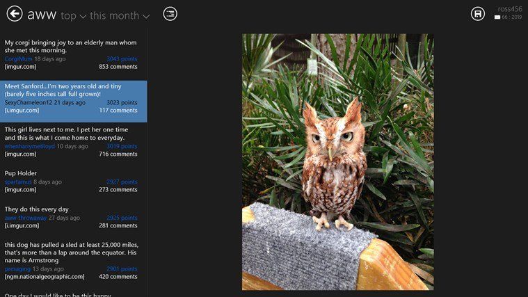 Top Reddit apps for Windows 8, the narwhal bacons at midnight | Windows ...