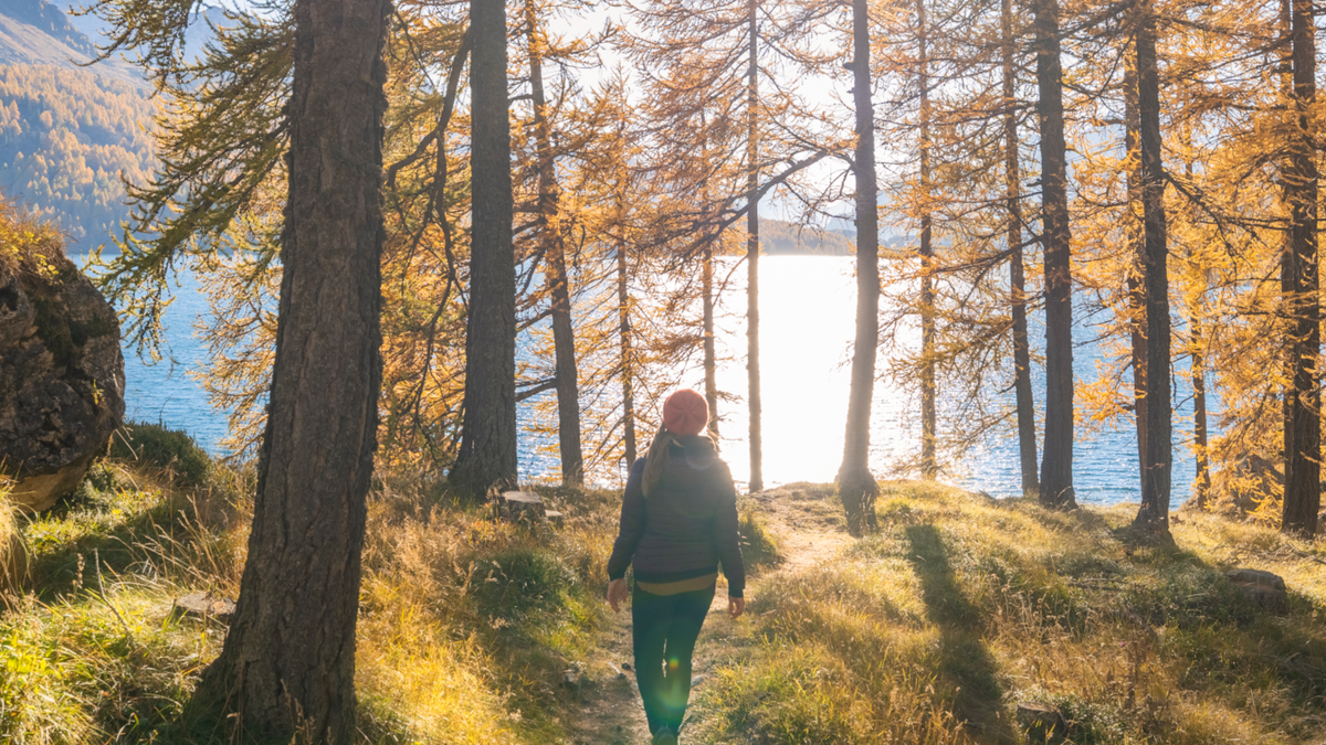 This affordable piece of outdoor tech has changed my walks forever – I ...