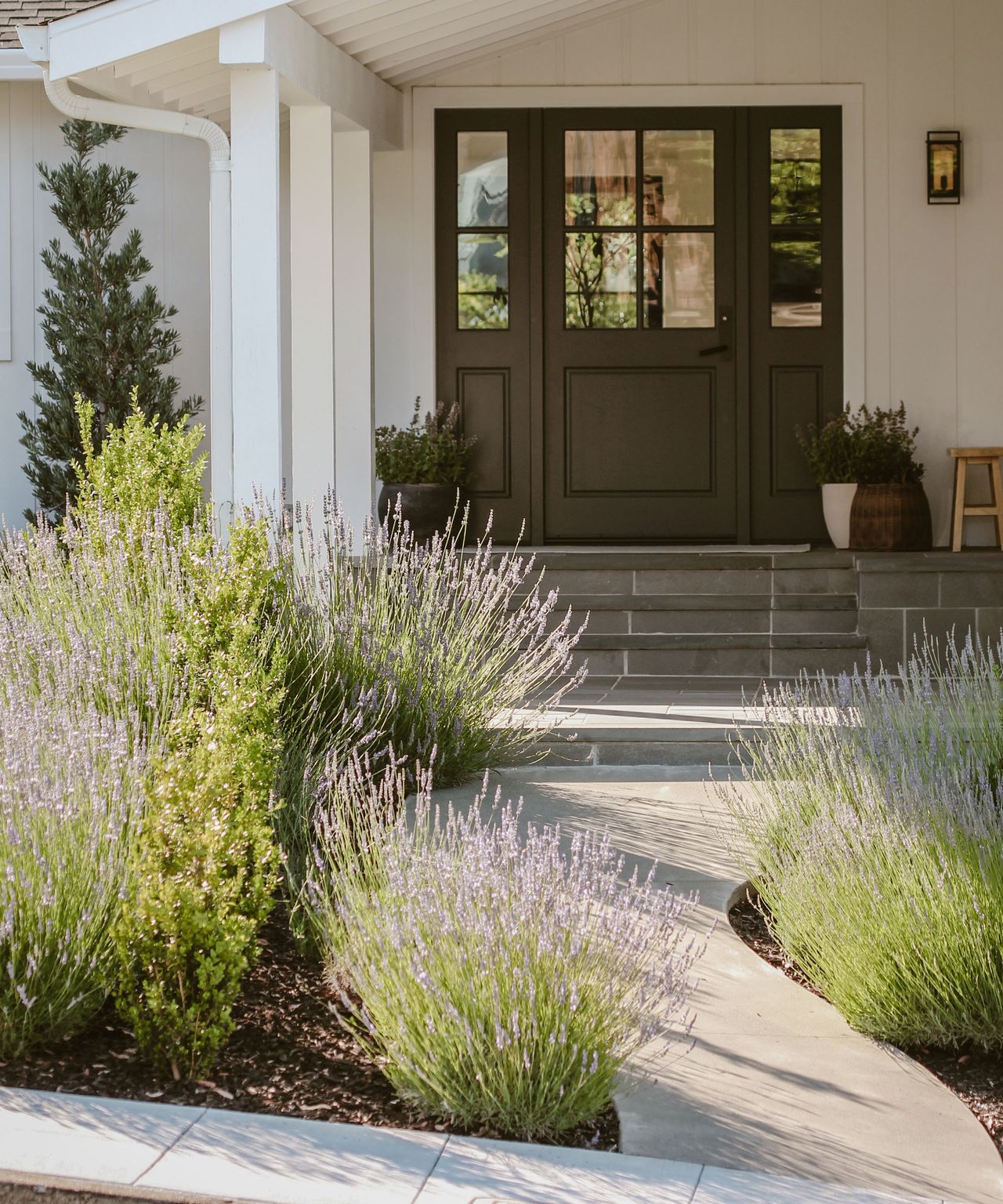 No-grass front yard ideas: 10 ways to say goodbye to a lawn | Homes and ...