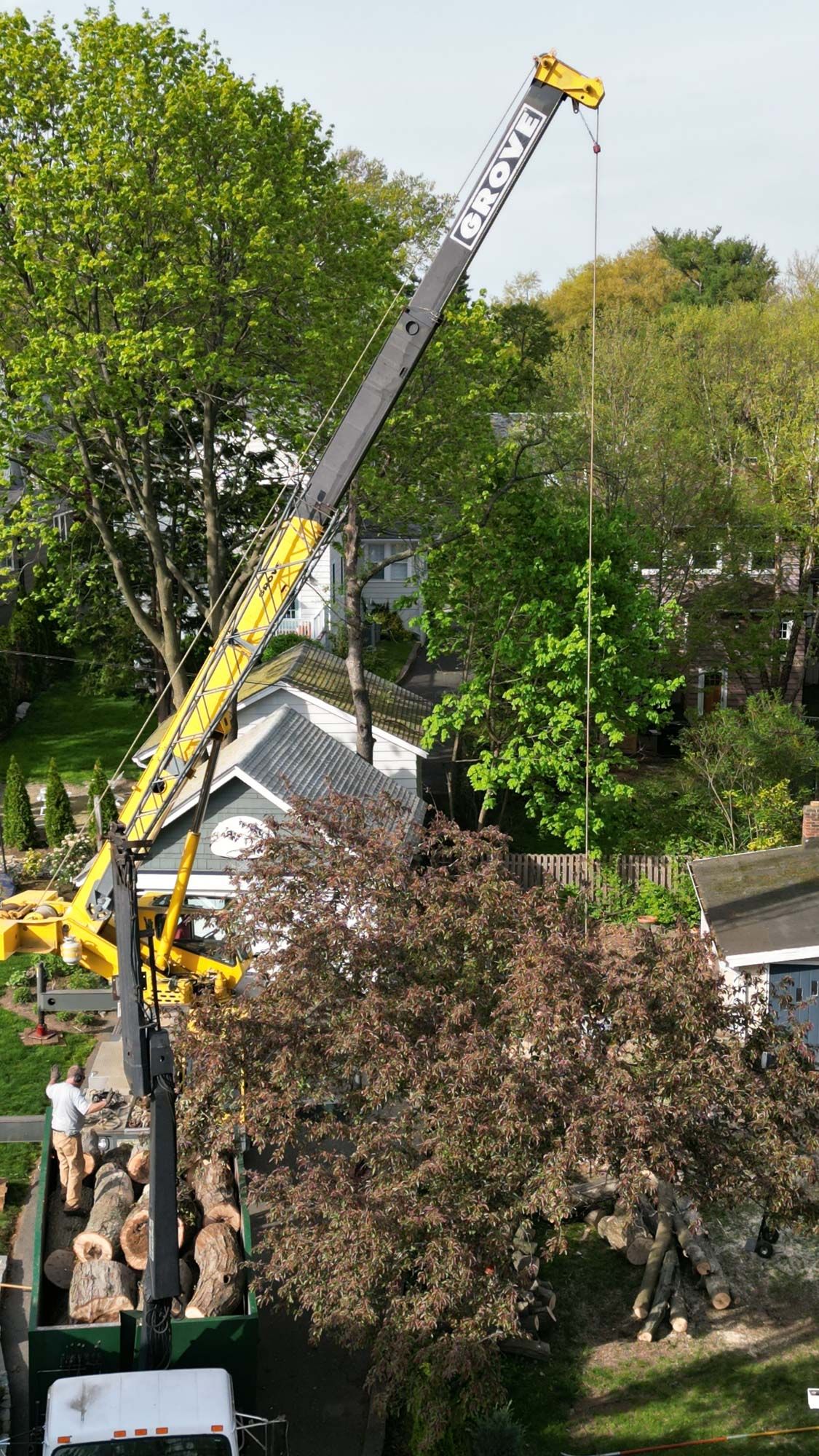 DJI Mini 3 Pro review | Tom's Guide