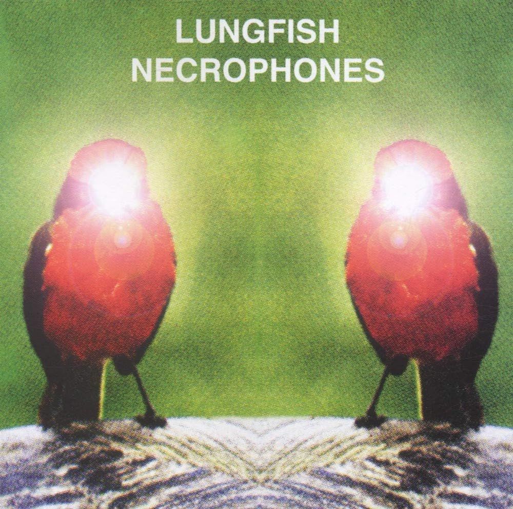 A beginner’s guide to Dischord Records in five essential albums | Louder