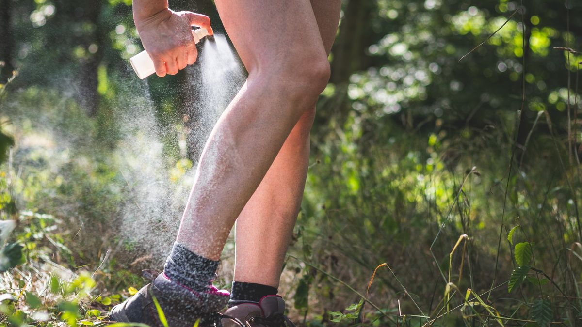 Insect repellent tips for hiking and running | Advnture
