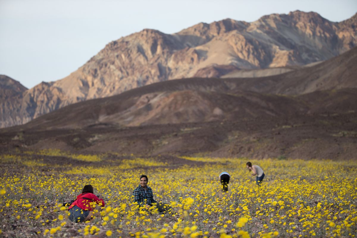 The week's best photojournalism | The Week