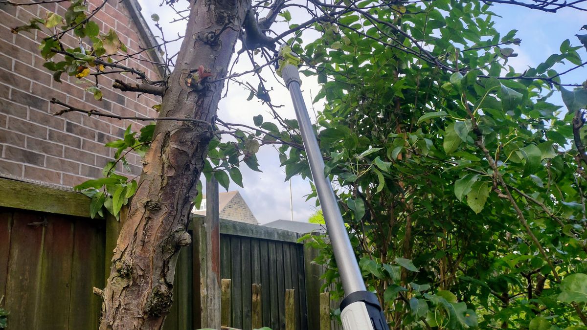 Ryobi ONE+ 18V Cordless Pole Lopper review | Top Ten Reviews
