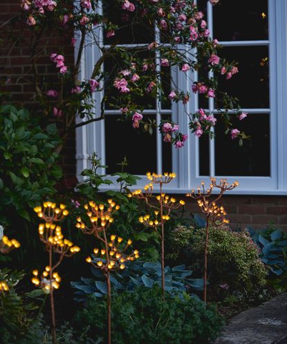 Best solar garden features to enhance your outdoor space | Homes and ...