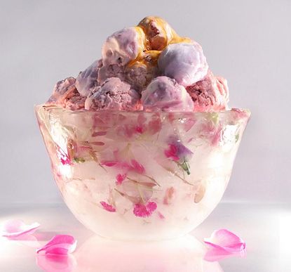 The secret history of ice cream from Marco Polo to the Queen of Ices, a ...