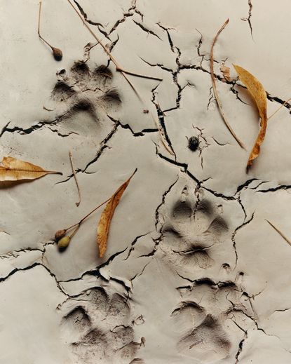 ‘We Will Survive' at Mudac: preparing for the post-apocalypse | Wallpaper*