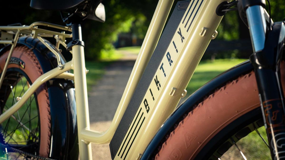 Biktrix Stunner X Ebike review: Big and brawny for back roads | Tom's Guide