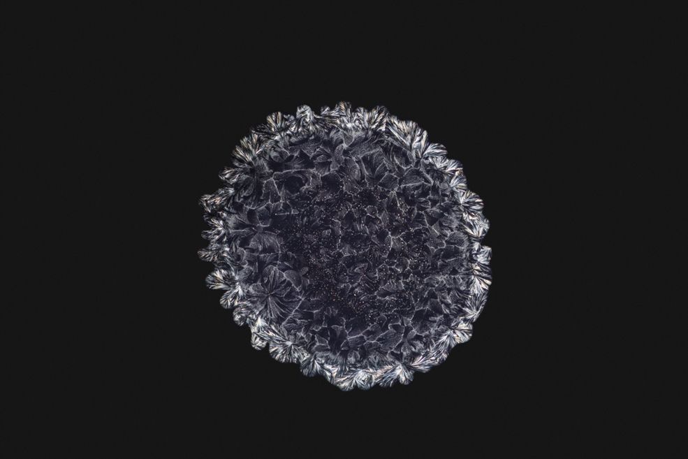 This is what ecstasy looks like under a microscope | The Week