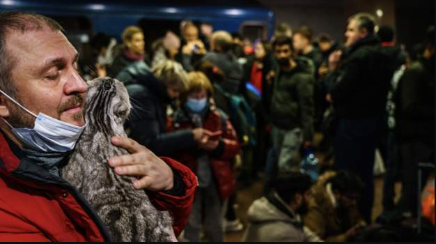Picture of Ukrainian man protecting his cat in shelter goes viral ...
