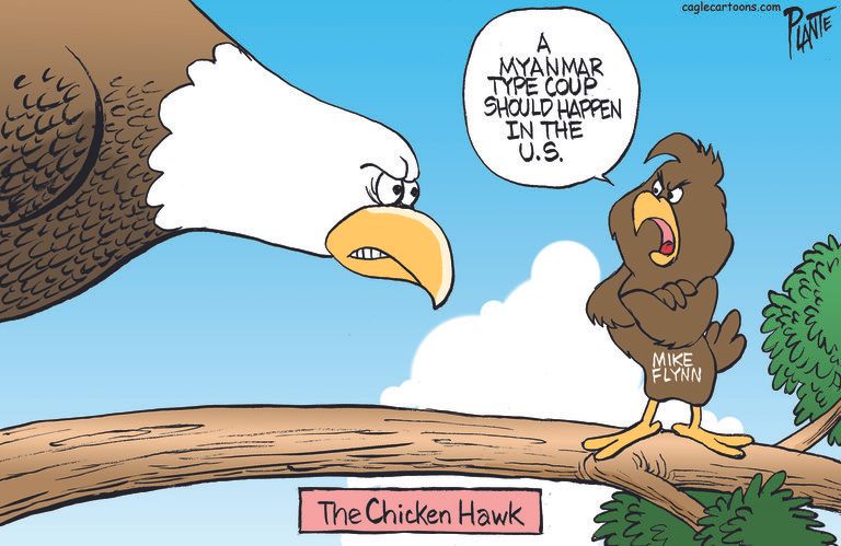 Flynn the chicken hawk | The Week