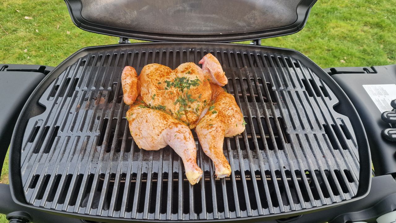 Weber Q3200 review: a great gas grill for under $500? | Homes and Gardens