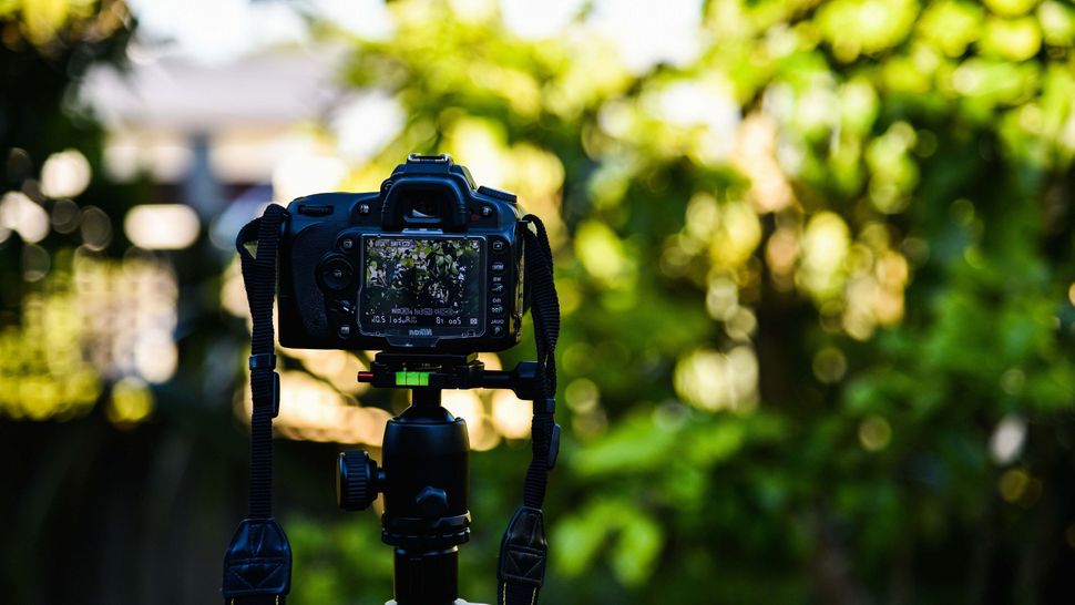 Top 10 tips on how to take good photos | Top Ten Reviews