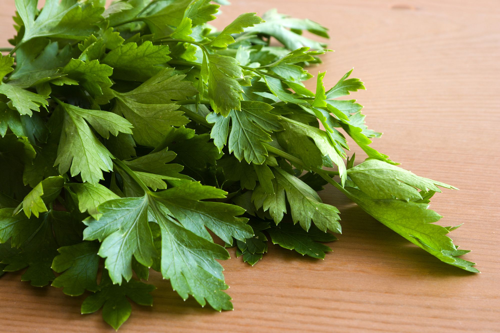 How to harvest parsley: for flavor-packed results | Homes and Gardens
