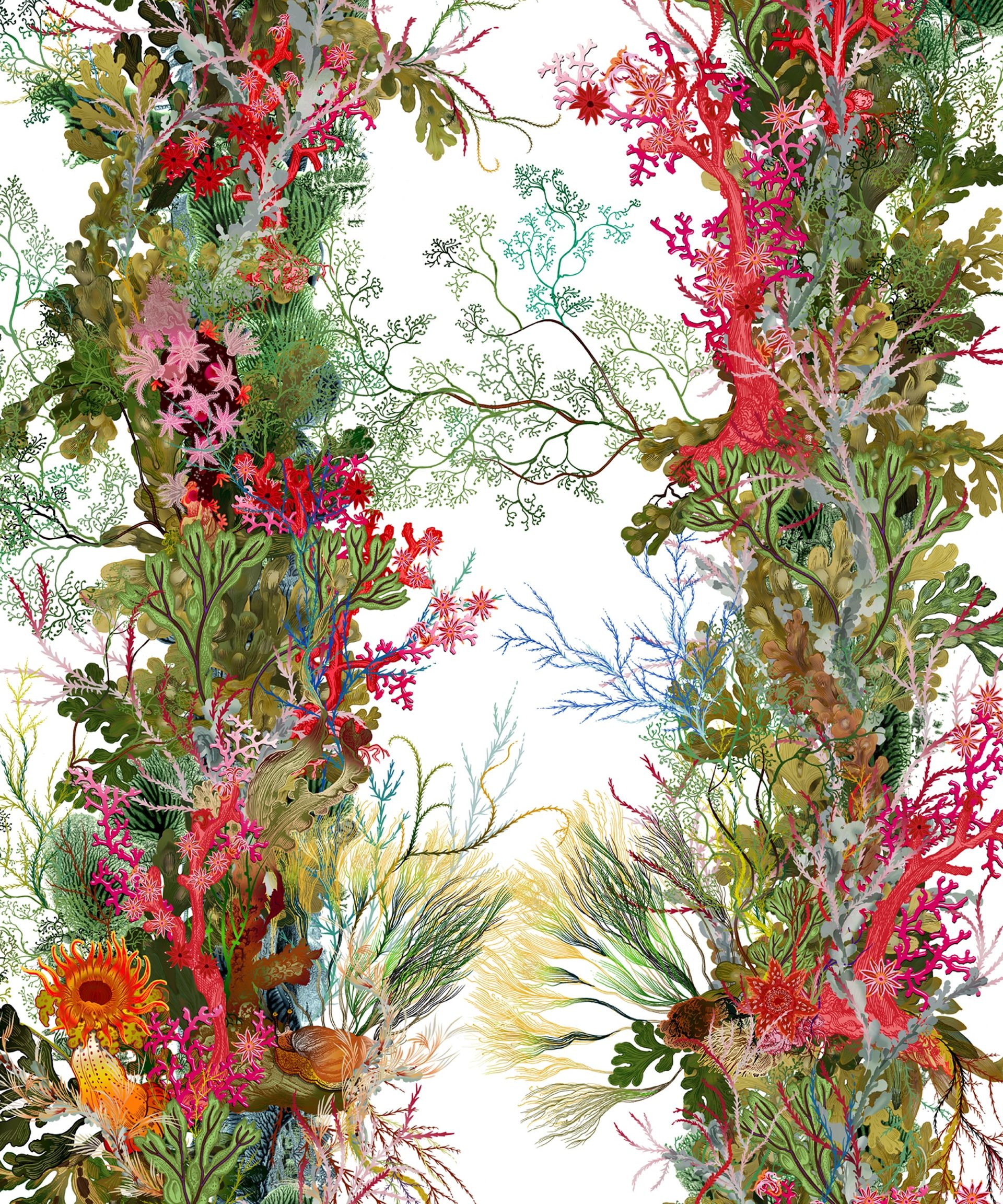 Introducing Oceana: the new Timorous Beasties wallpaper collection ...