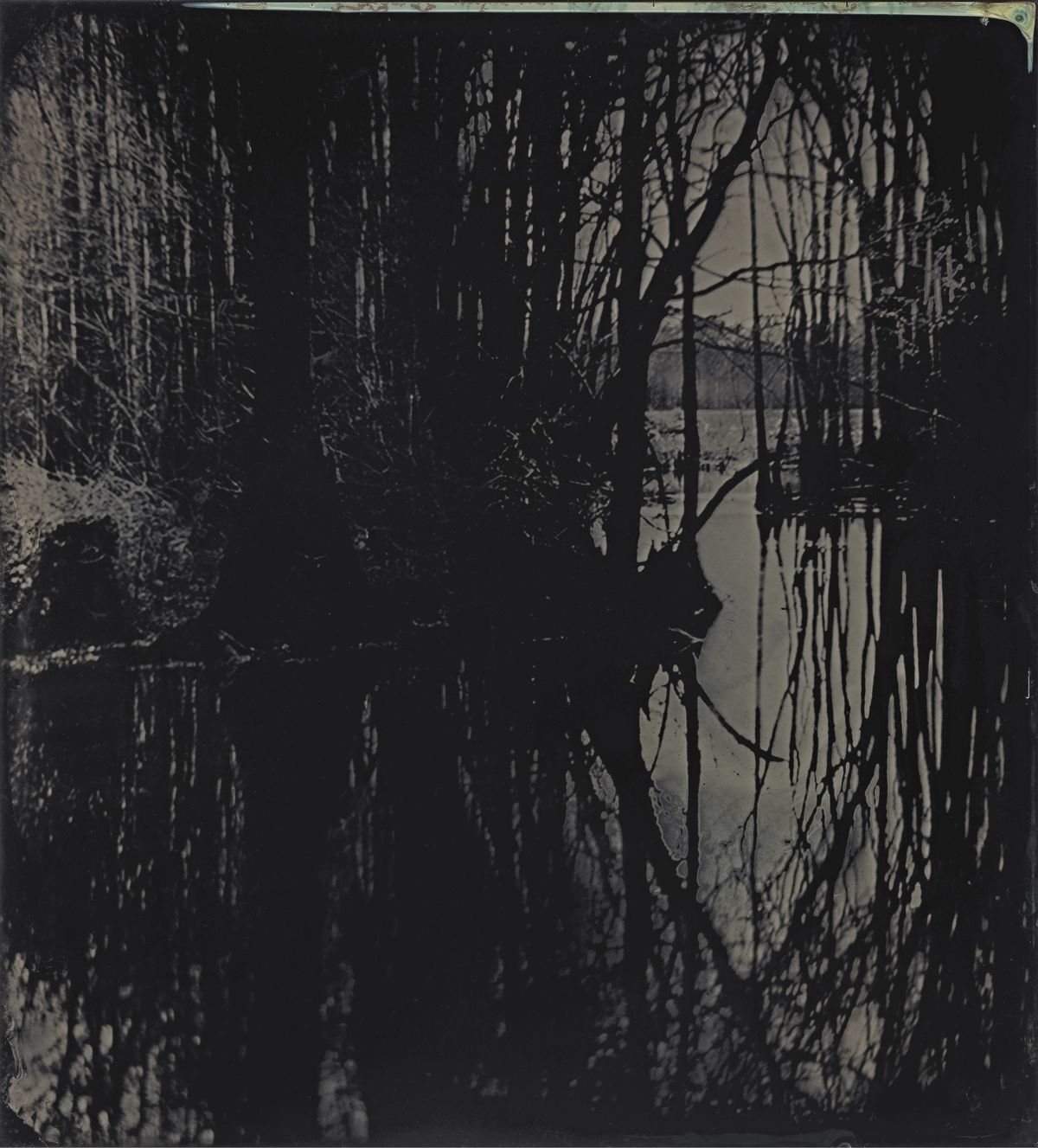 Sally Mann wins ninth Prix Pictet global photography award | Digital ...