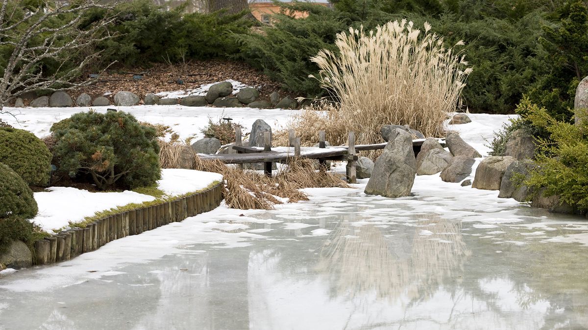 How to heat a pond in winter: 5 ideas to prevent it freezing | Homes ...