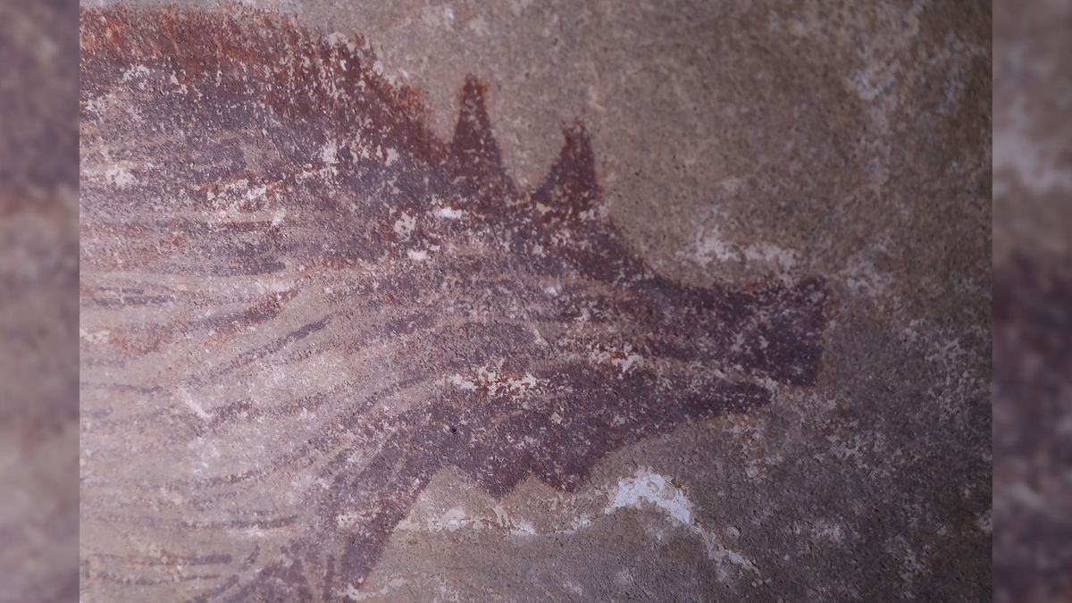 Warty pig is oldest animal cave art on record | Live Science