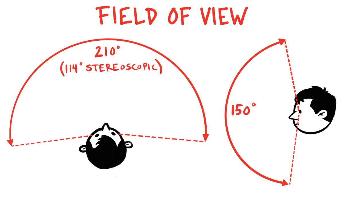 How to draw 5-point perspective | Creative Bloq