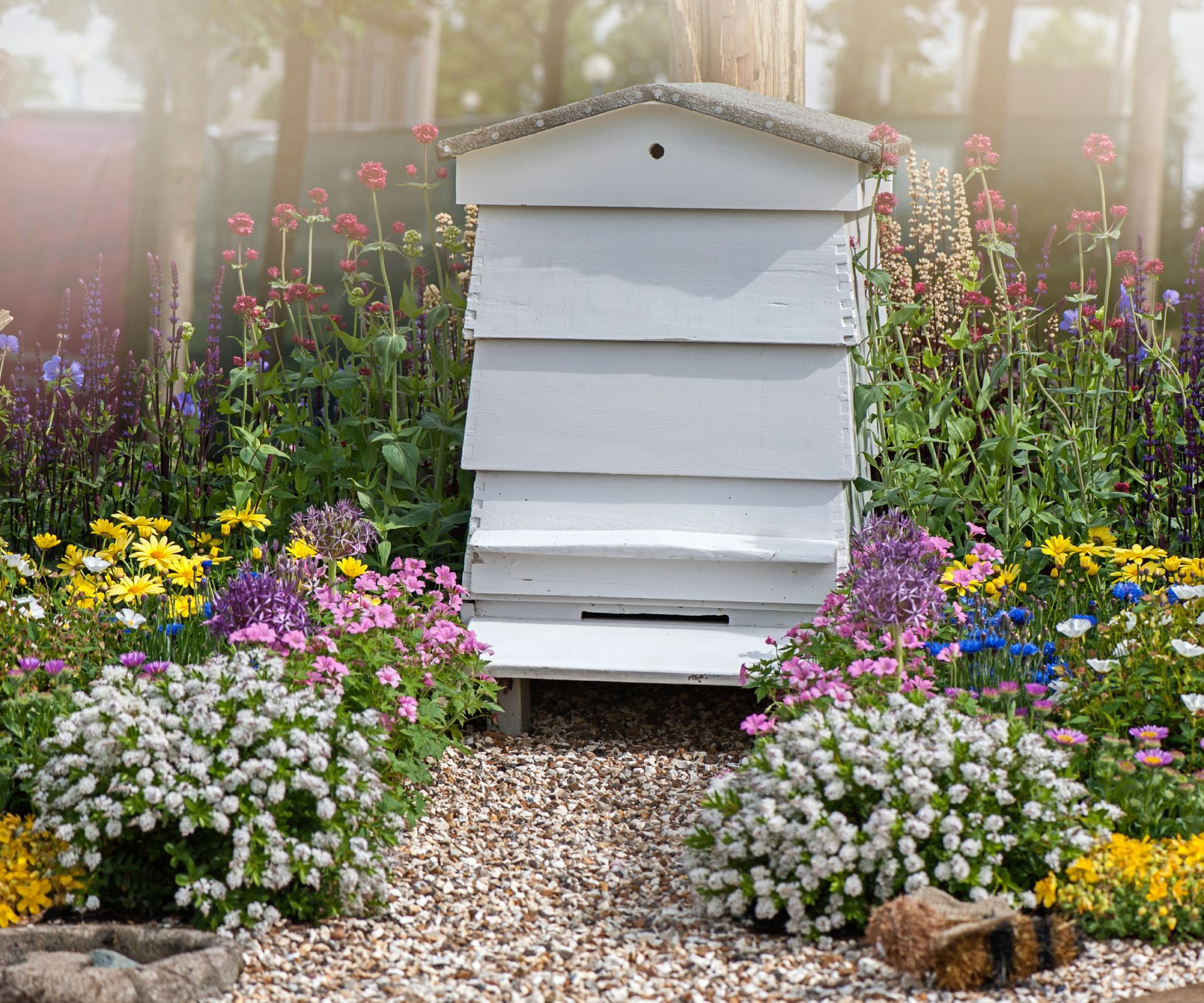 Plant A Pollinator Garden And Do Your Part For The Earth | Gardening ...