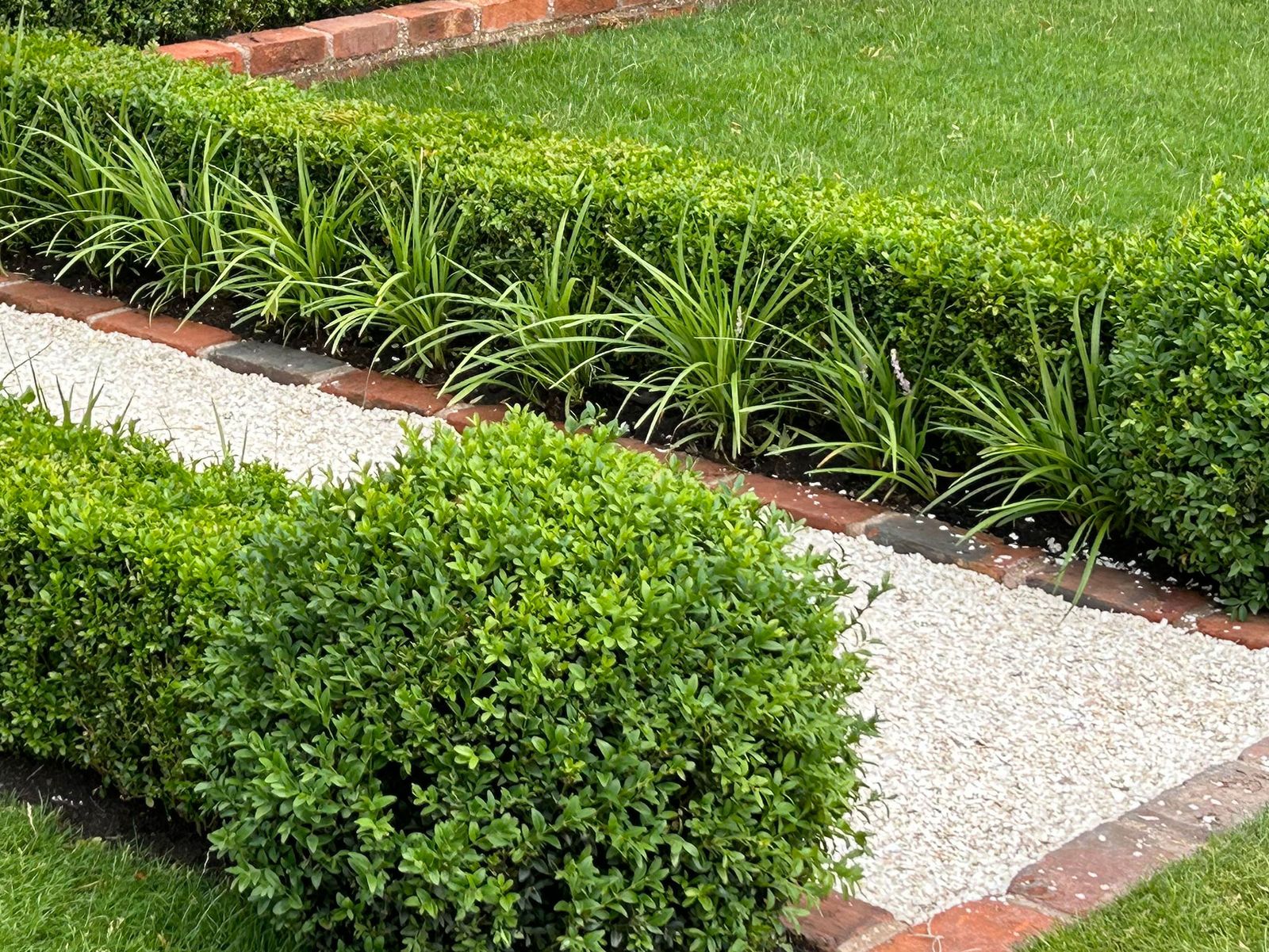 Front yard path planting – | Livingetc