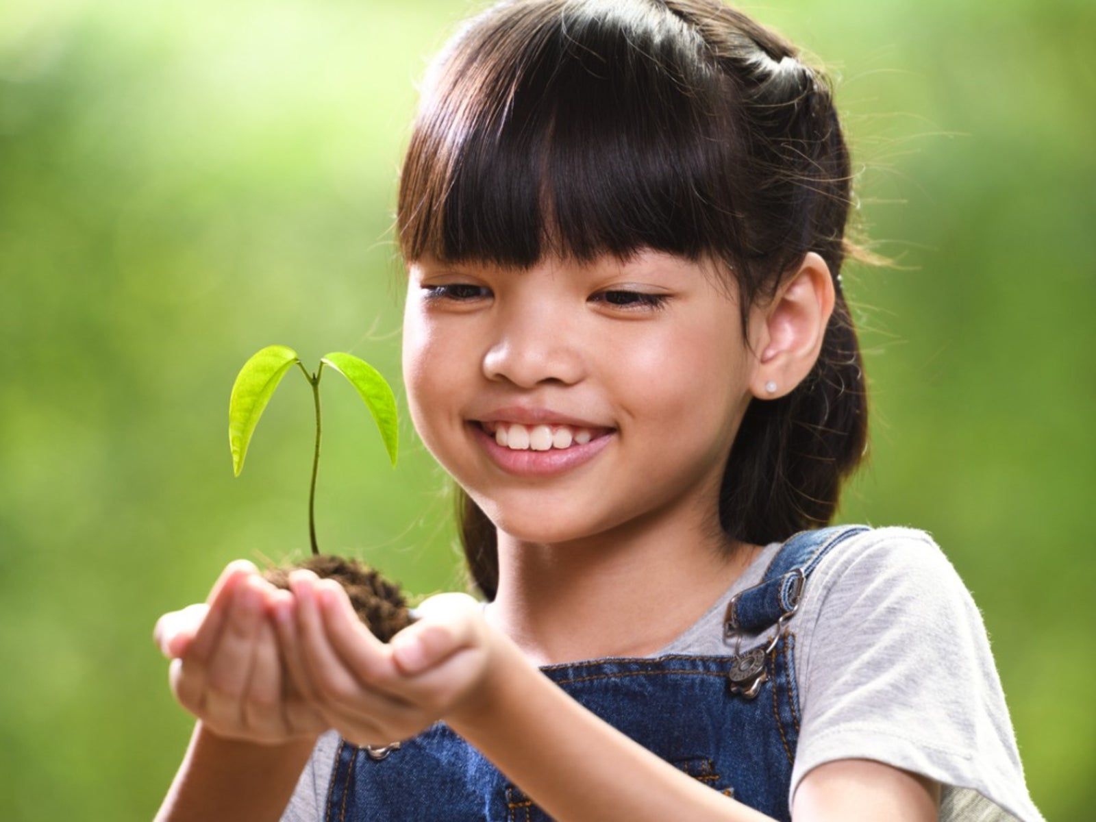Easy Seeds For Kids: Good Plants To Grow From Seed With Kids ...