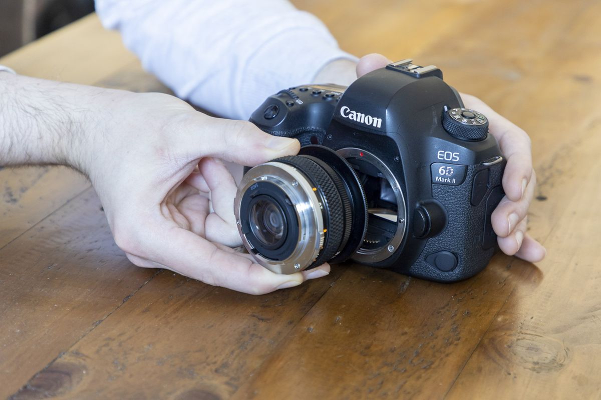 Shoot incredible close-ups with a budget of just 10 bucks! | Digital ...