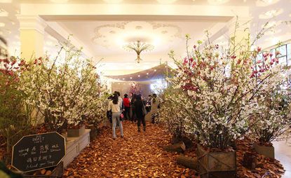 Design Shanghai 2015: Fantasy flowers, deco and a dragon - the top ...
