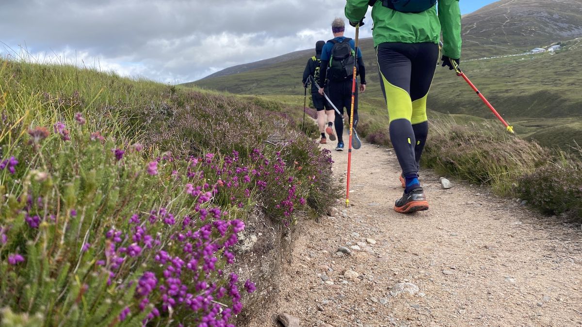 Trail running with poles – how they can help you go faster for longer ...