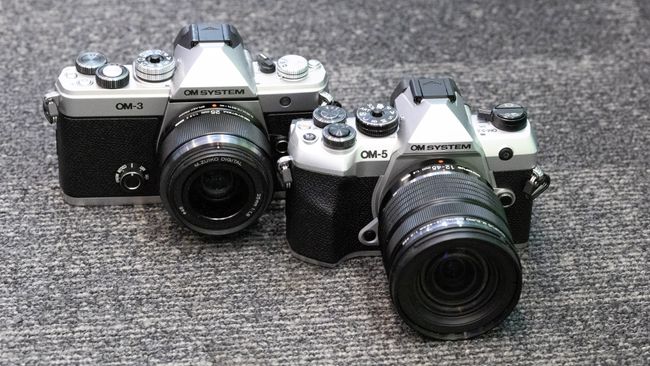Panasonic Lumix S1II vs S1IIE: What are the actual differences? | Digital Camera World