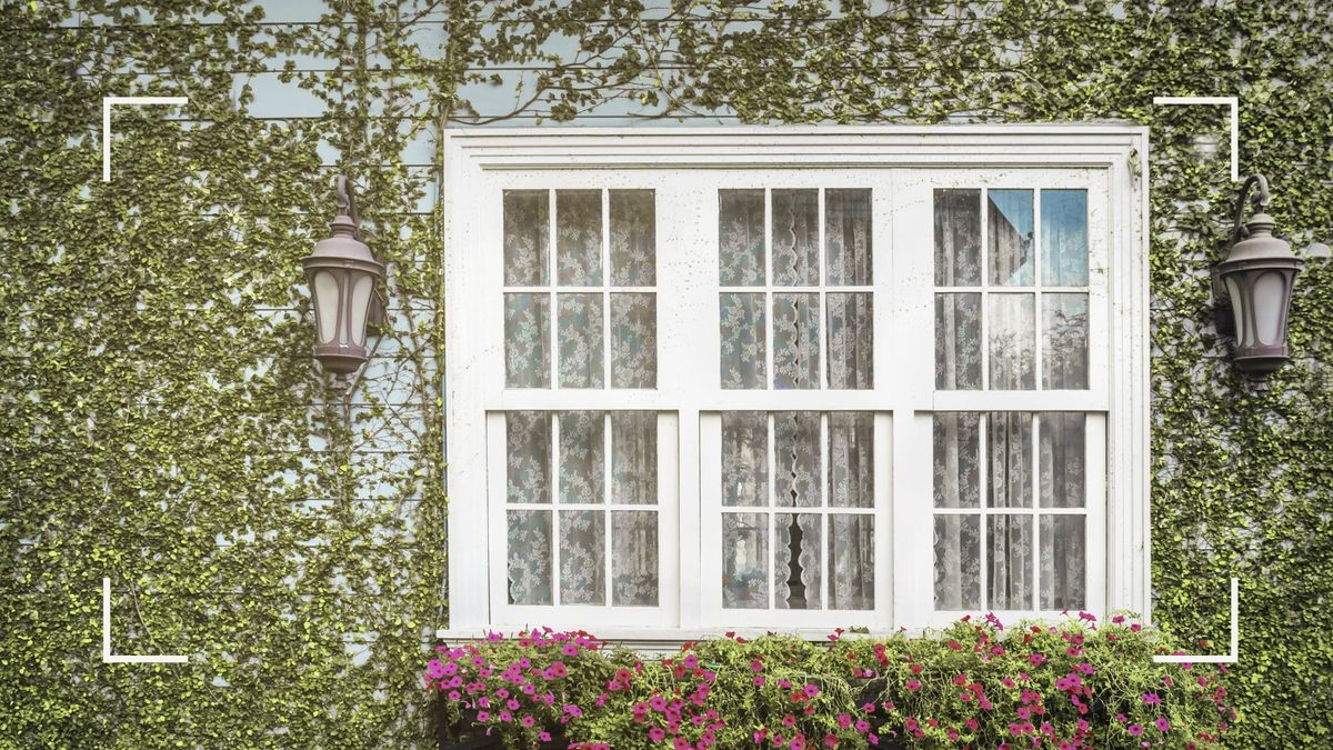 The unusual window hack that will keep you cool during the heatwave ...