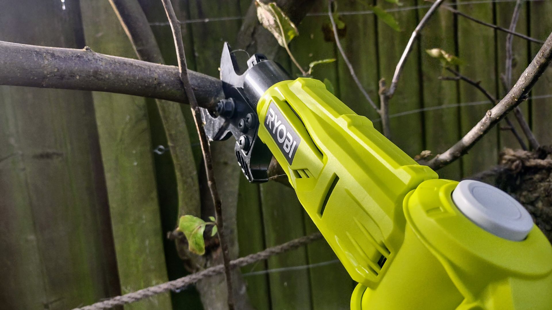 Ryobi ONE+ 18V Cordless Pole Lopper review | Top Ten Reviews