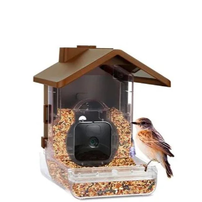 The best bird feeder camera: the smart way to watch birds at home ...