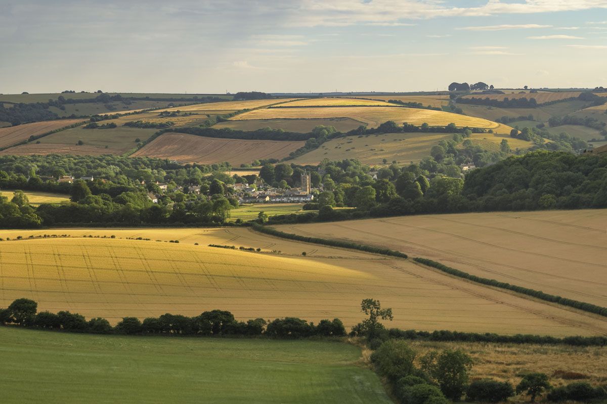 Canon pro David Noton's honest assessment of the Canon EOS R | Digital ...